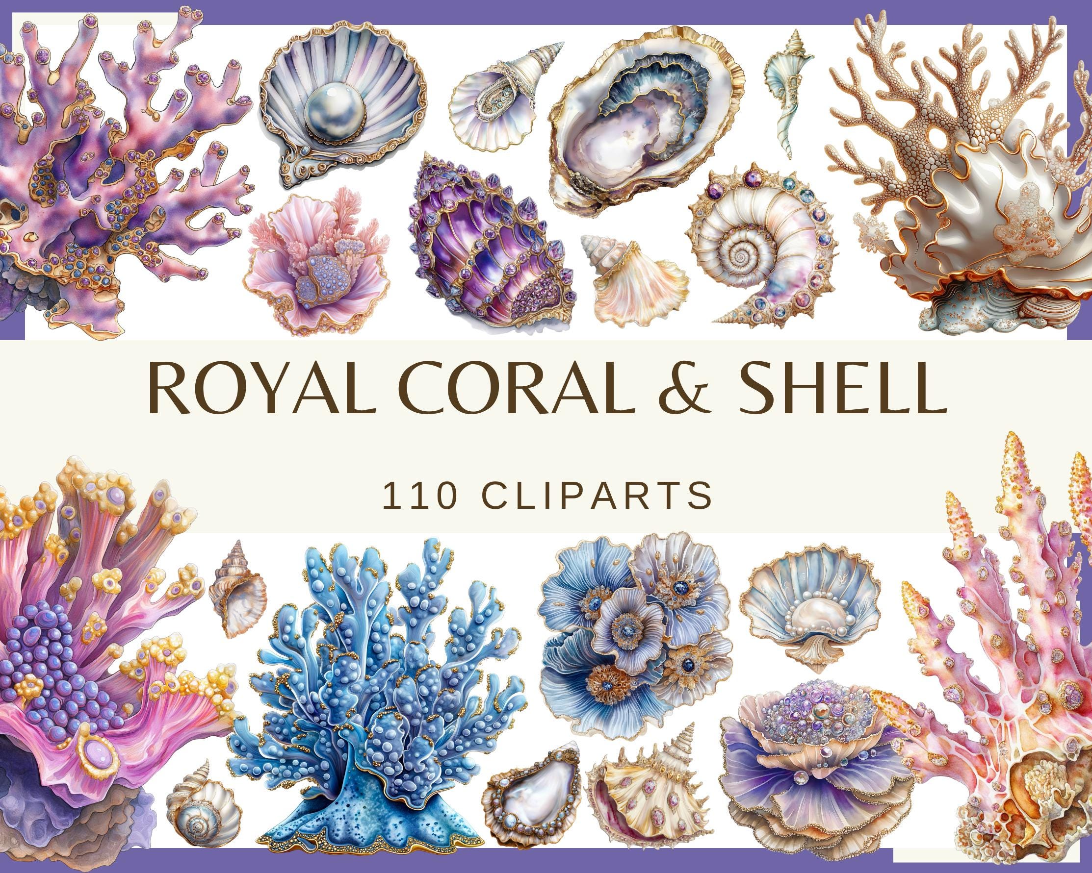 Royal Seashell Clipart: Sea Life Graphics Bundle (110 PNG) - Etsy