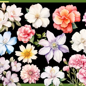 Summer Flowers Clipart: 120 PNG Floral Garden Graphics (digital ...