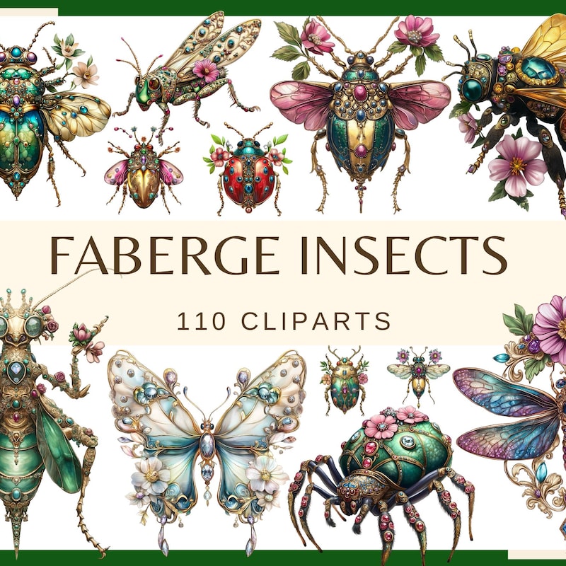 Butterflies, Beetles - Etsy