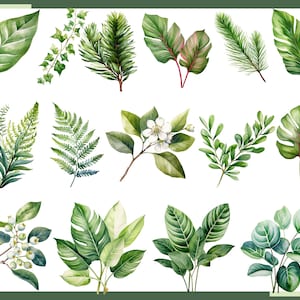 Watercolor Foliage Clipart: 120 Green Leaves PNG Bundle (digital ...