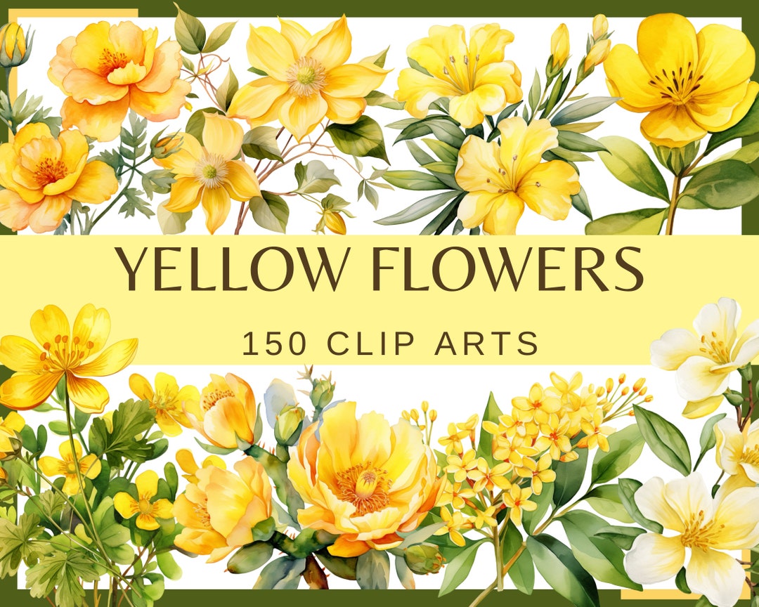 YELLOW FLOWERS - 150 Clip Arts (300 Dpi, Png, Hibiscus, Zinnia, Anemone ...