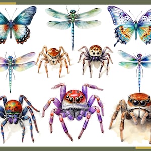 Watercolor Insect Clipart: 100 Bug Graphics (PNG) - Etsy