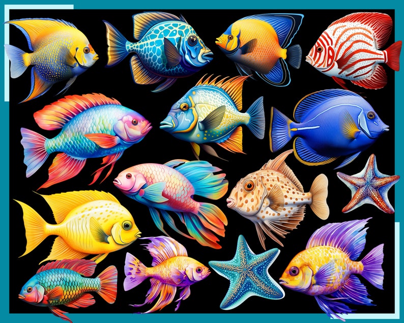 Sea Creatures: 100 PNG, 300 DPI Clipart Ocean Animal Illustrations ...