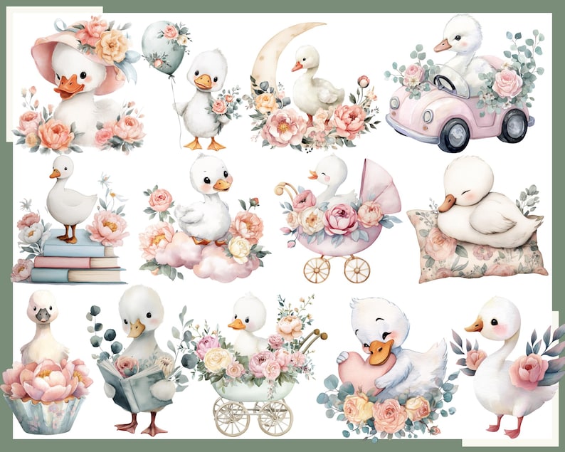 Watercolor Baby Swan Clipart | 110 PNG Images 300 DPI (blush Pink Roses ...