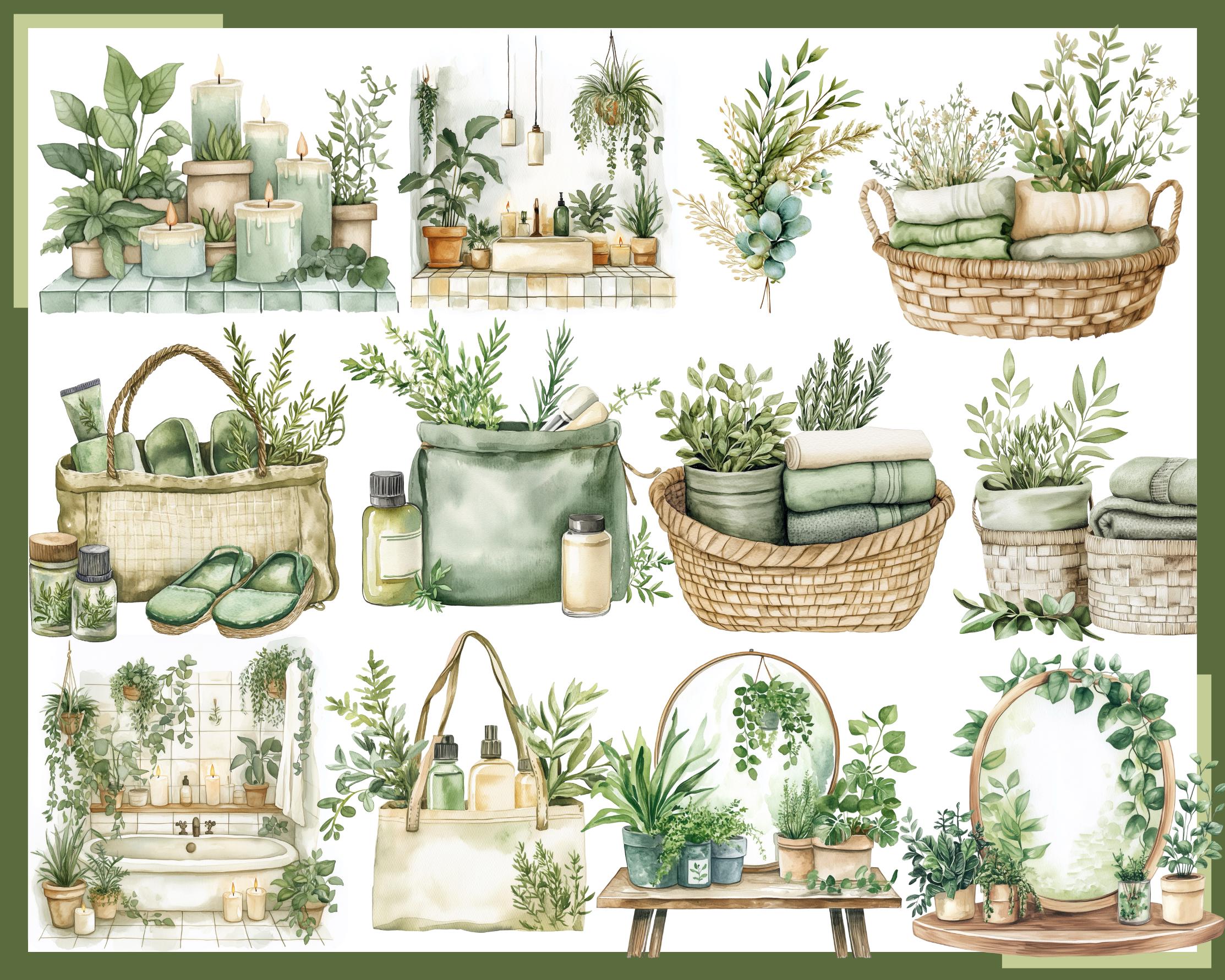 Green Plant Spa Clipart: Botanical Wellness Graphics (PNG, 300 DPI ...