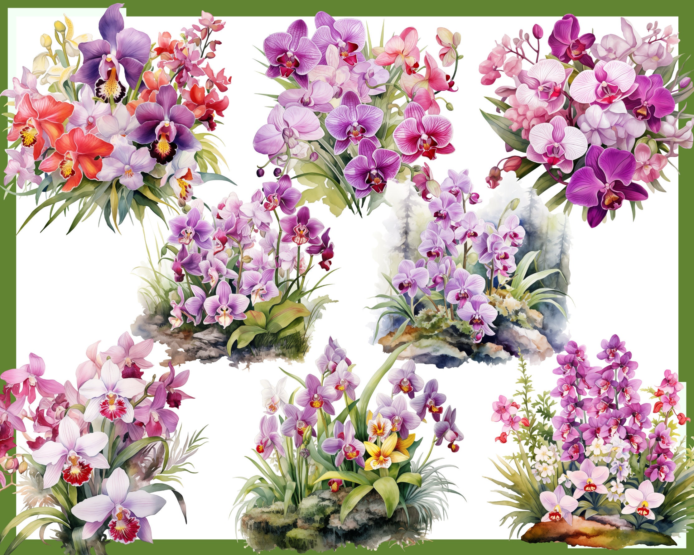 ORCHID FLOWERS - 100 Clip Arts (300 Dpi, Commercial Use, Bundle ...