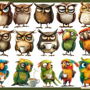 Grumpy Birds Clipart: Funny Tired Bird PNG Images (110 Files) (digital ...