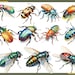 Watercolor Insect Clipart: 100 Bug Graphics (PNG) - Etsy