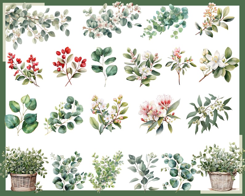 Eucalyptus Clipart Bundle: Watercolor Greenery, Floral PNG (140 Files ...