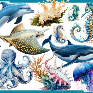 SEA CREATURES - 100 Clip Arts (300 Dpi, Ocean Animals Illustrations ...