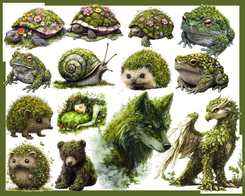 Moss Clipart Bundle: Botanical Illustrations (160 PNG, 300 DPI ...