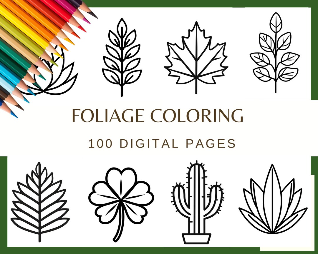 Foliage Coloring Pages: 100 Leaf and Tree Designs (digital Paper) - Etsy