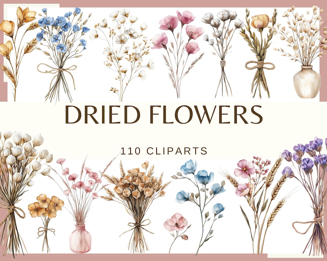 Watercolor Dried Flower Clipart: Boho Bouquet PNG (digital Download ...