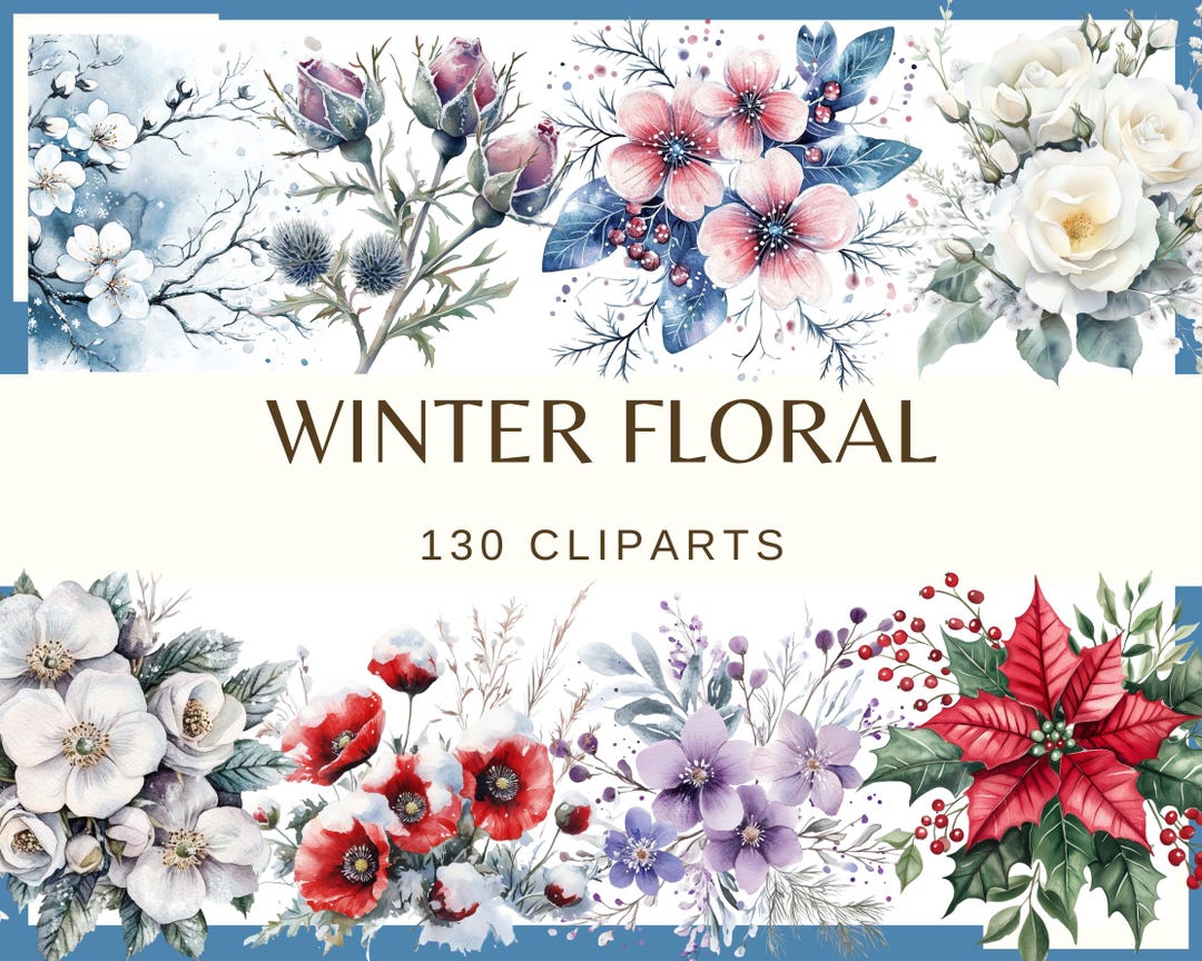 Winter Floral Clipart Bundle: Watercolor Christmas Flowers, Holly (PNG ...