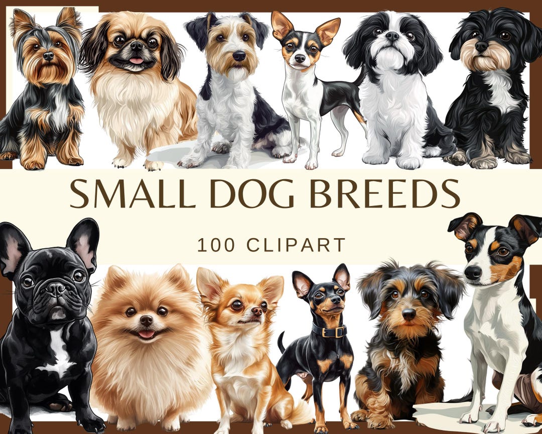 Small Dog Breeds Clipart: 100 PNG Graphics (digital Download) - Etsy