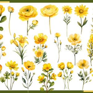 YELLOW FLOWERS - 150 Clip Arts (300 Dpi, Png, Hibiscus, Zinnia, Anemone ...