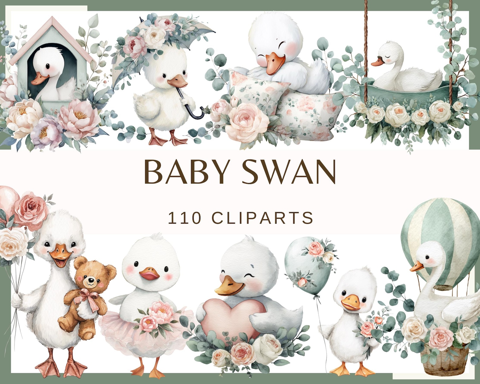 Watercolor Baby Swan Clipart | 110 PNG Images 300 DPI (blush Pink Roses ...