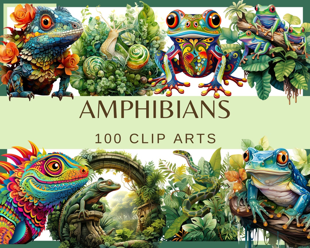 Amphibians Clip Art Bundle: 100 PNG Graphics (digital Download) - Etsy