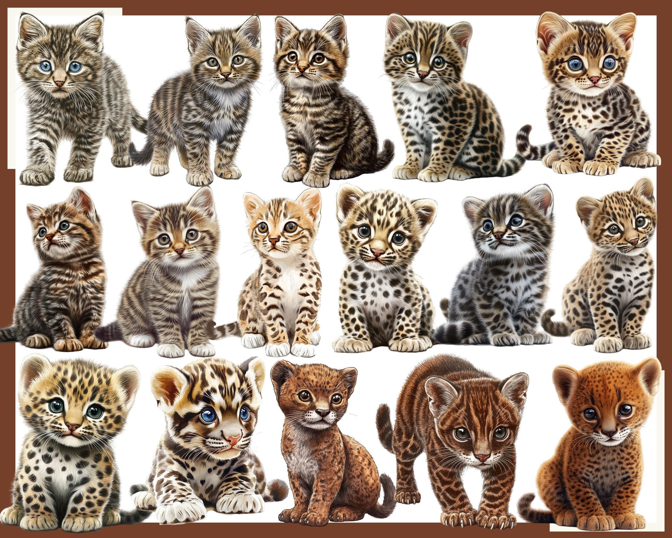 Wild Cat Cubs Clipart: 100 PNG Animal Graphics (digital Download) - Etsy