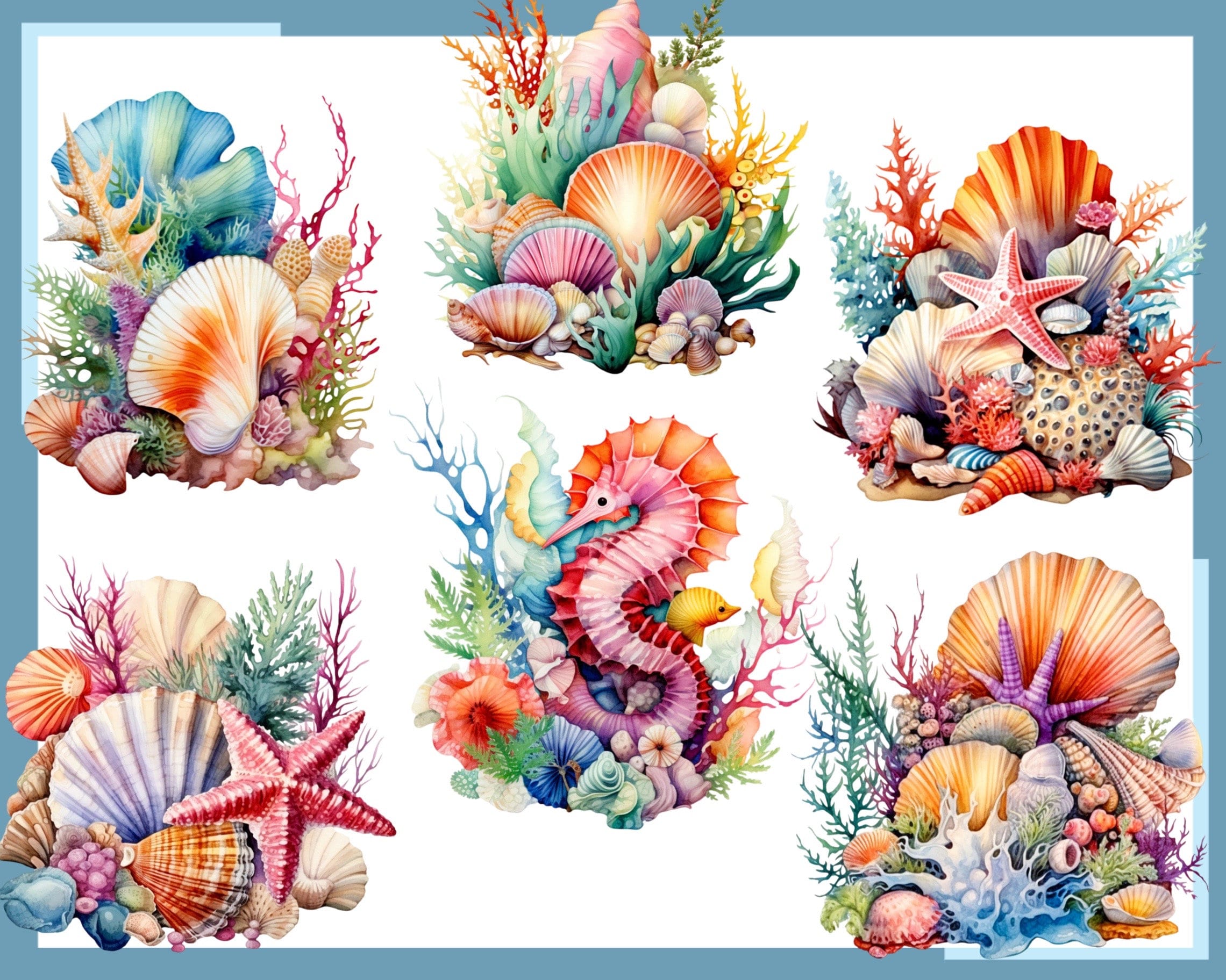 Seashell: 100 PNG, 300 DPI Clipart Sea Life Graphics (commercial Use ...