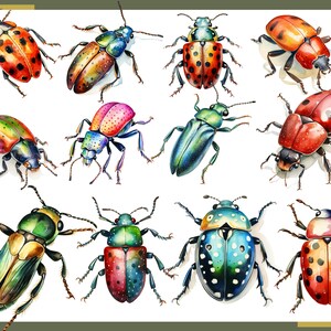 Watercolor Insect Clipart: 100 Bug Graphics (PNG) - Etsy