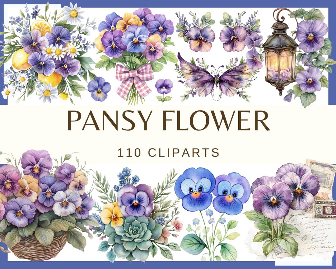 Pansy Flower Clipart: Purple & Yellow Watercolor Botanical ...