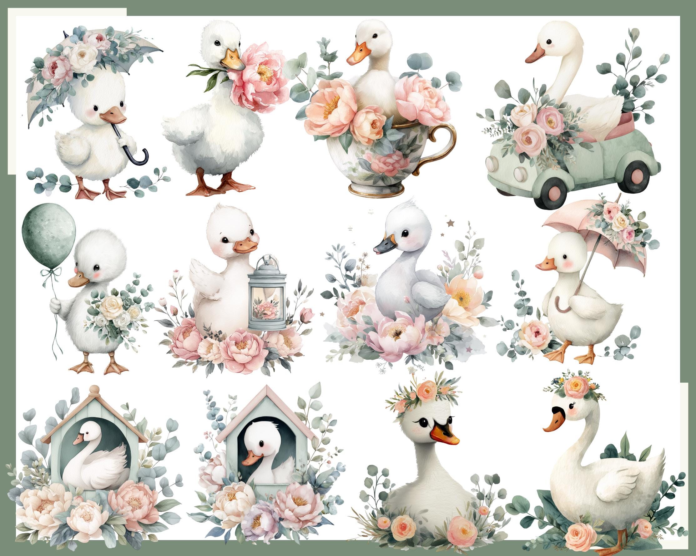 Watercolor Baby Swan Clipart | 110 PNG Images 300 DPI (blush Pink Roses ...