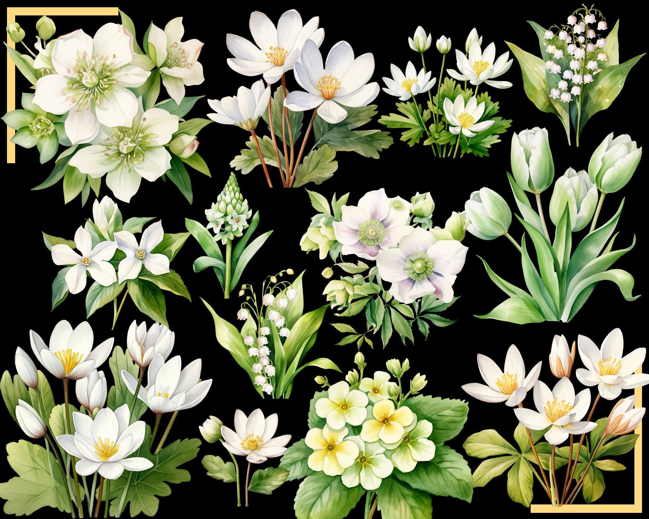 Spring Flowers Clipart: 100 PNG Floral Garden Graphics (digital ...