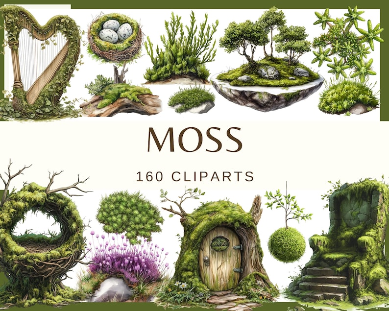 Moss Clipart Bundle: Botanical Illustrations (160 PNG, 300 DPI ...