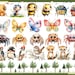Summer Woodland Clipart: 250 Forest Animal Graphics (digital Download ...