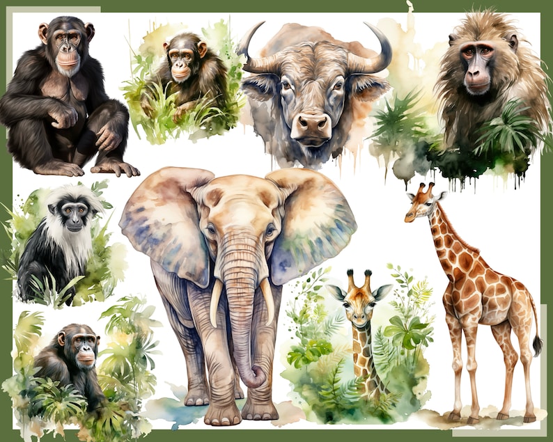 Safari Animals Clip Art: 100 PNG Images (digital Download) - Etsy