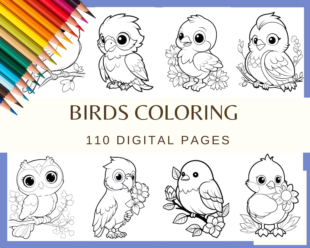 Birds Coloring Pages: 110 Page Coloring Book for Kids (digital Paper ...