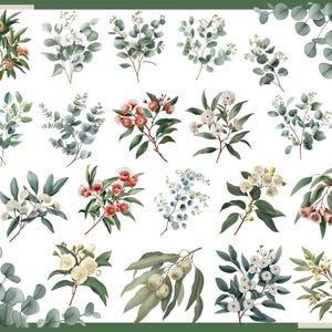 Eucalyptus Clipart Bundle: Watercolor Greenery, Floral PNG (140 Files ...