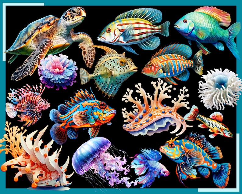 Sea Creatures: 100 PNG, 300 DPI Clipart Ocean Animal Illustrations ...