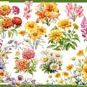 Summer Flowers: 120 PNG, 300 DPI Clipart Floral Garden Graphics ...