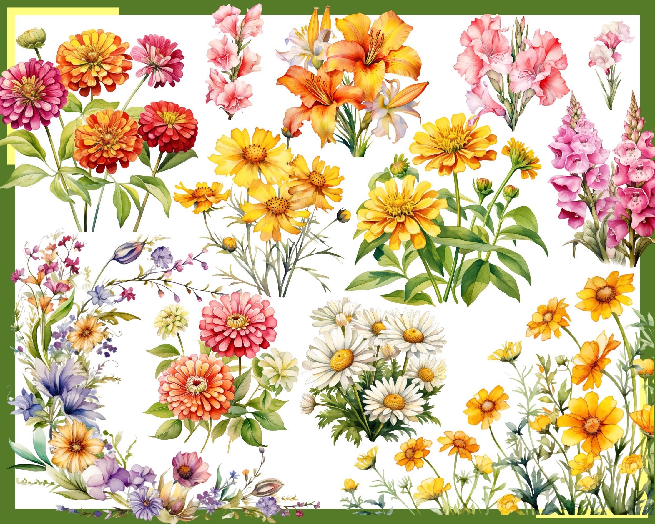 Summer Flowers: 120 PNG, 300 DPI Clipart Floral Garden Graphics ...