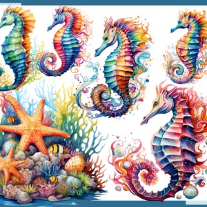 Sea Life: 100 PNG, 300 DPI Clipart Marine Animal Graphics (commercial ...