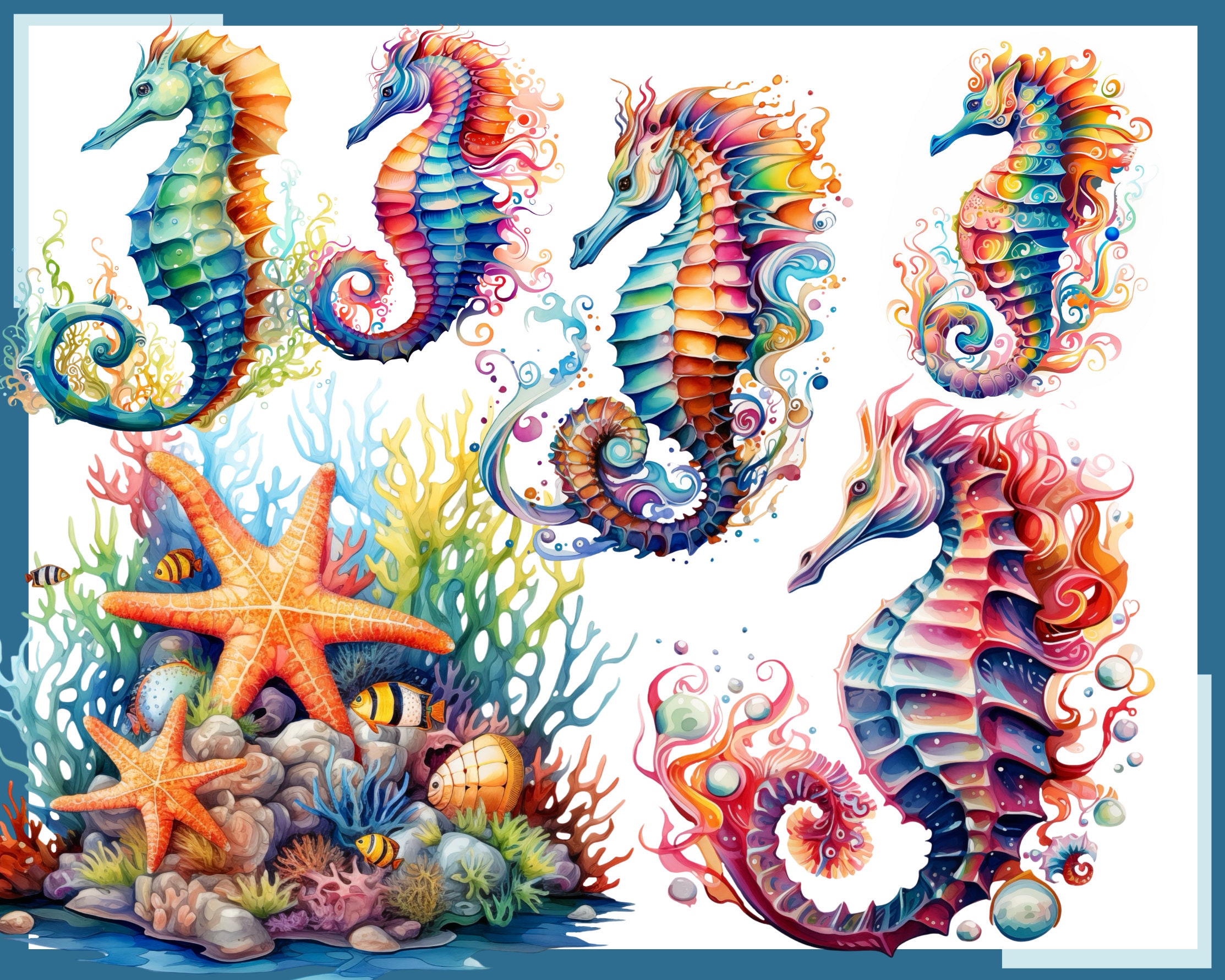 Sea Life: 100 PNG, 300 DPI Clipart Marine Animal Graphics (commercial ...