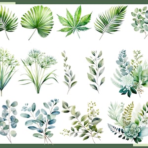 Watercolor Foliage Clipart: 120 Green Leaves PNG Bundle (digital ...