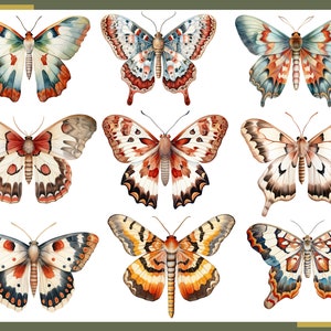 Watercolor Insect Clipart: 100 Bug Graphics (PNG) - Etsy