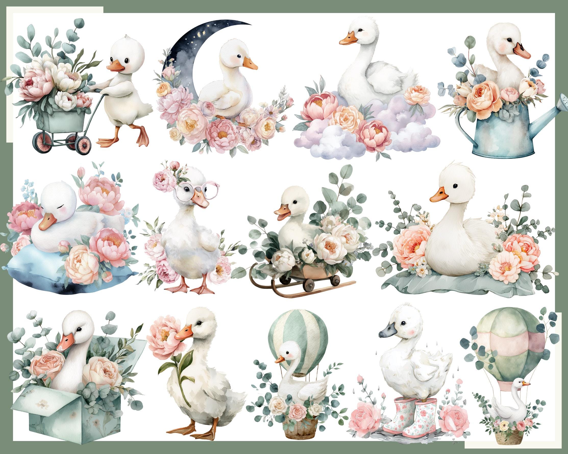 Watercolor Baby Swan Clipart | 110 PNG Images 300 DPI (blush Pink Roses ...