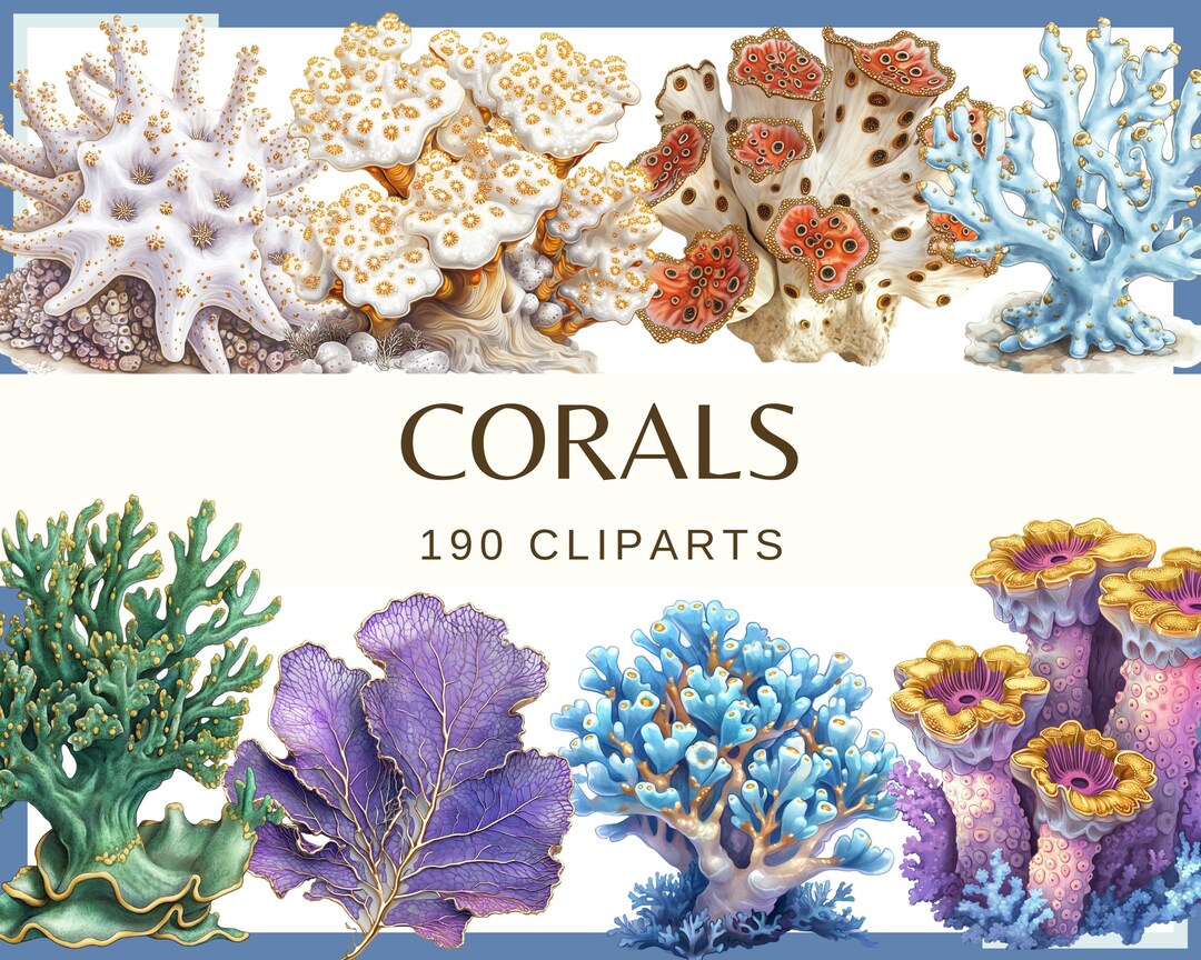 Coral: 190 PNG, 300 DPI Clipart Sea Anemone Life Marine (commercial Use ...