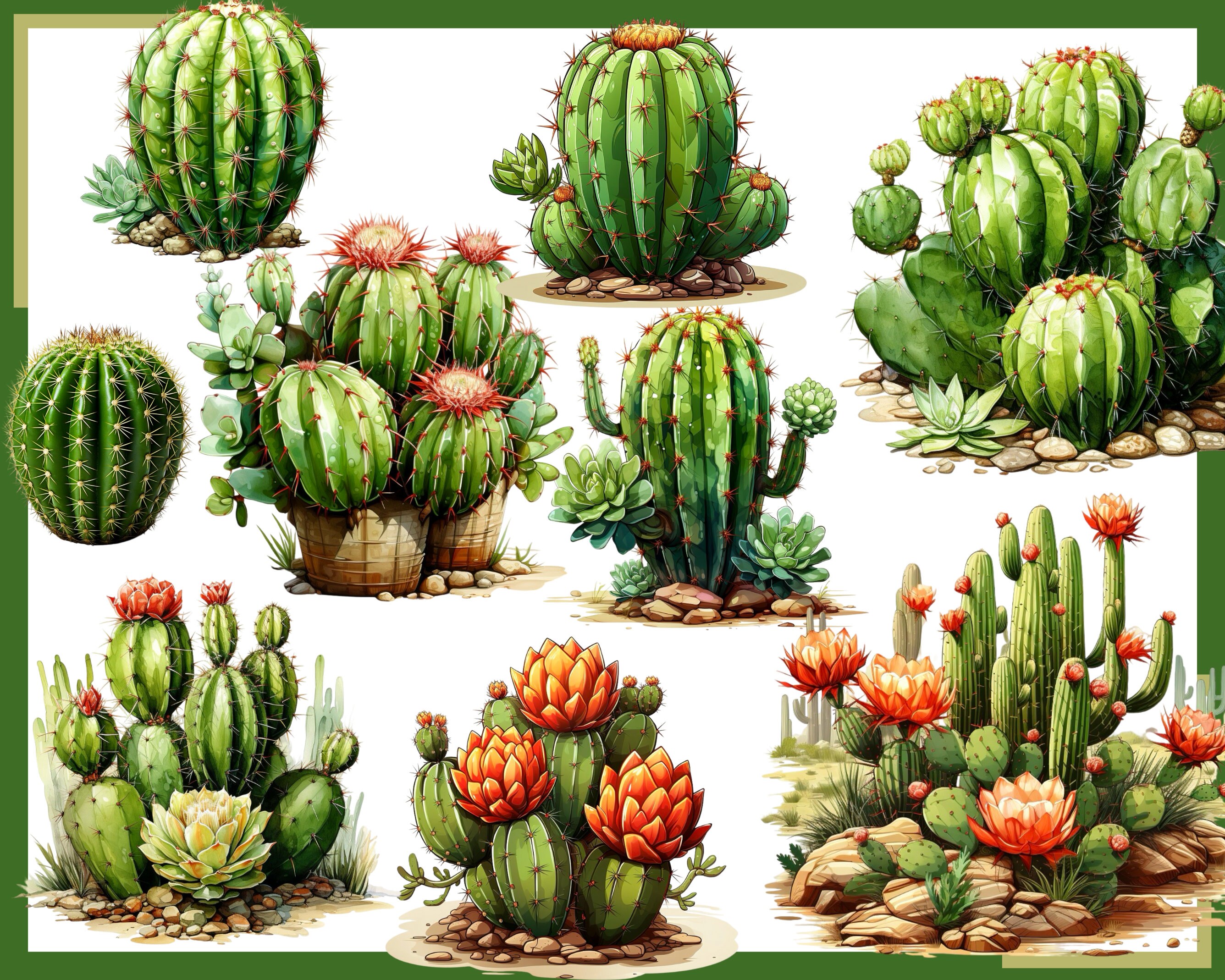 Cactus Clip Art: 120 Watercolor Desert Plant Pngs (digital Download) - Etsy