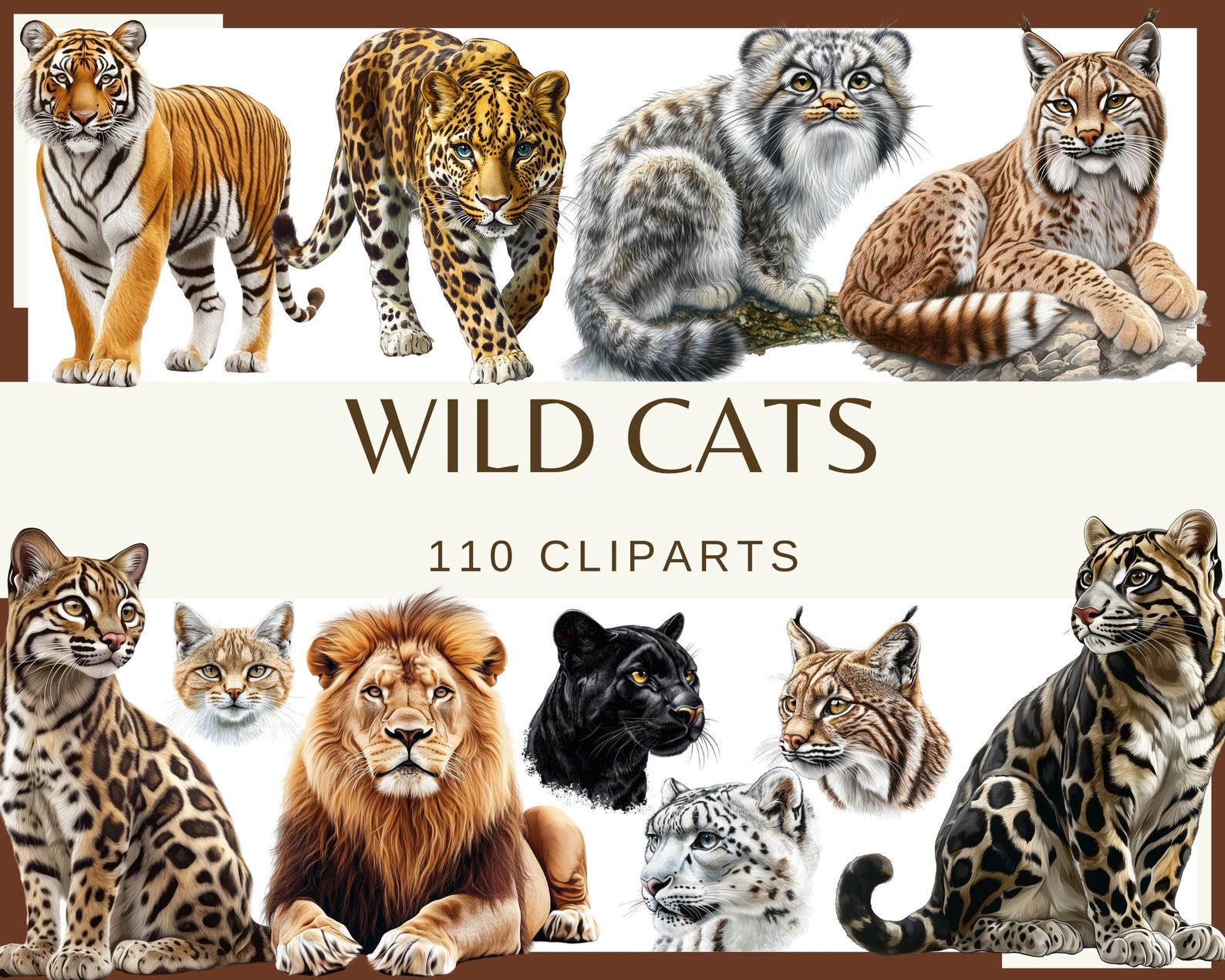 Wild Cats Clip Art: 110 PNG Images (300 Dpi) - Etsy