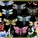 100 Dragonfly Clip Art: Stained Glass & Watercolor PNG (commercial Use ...