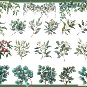 Eucalyptus Clipart Bundle: Watercolor Greenery, Floral PNG (140 Files ...