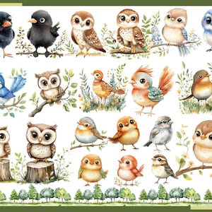 Summer Woodland Clipart: 250 Forest Animal Graphics (digital Download ...