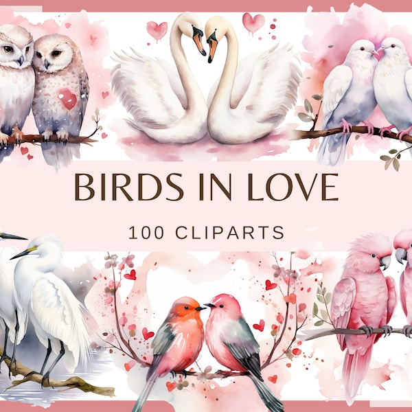 Love Birds Clip Art - Etsy