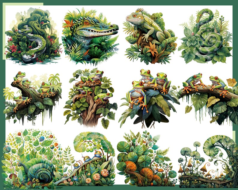 Amphibians Clip Art Bundle: 100 PNG Graphics (digital Download) - Etsy