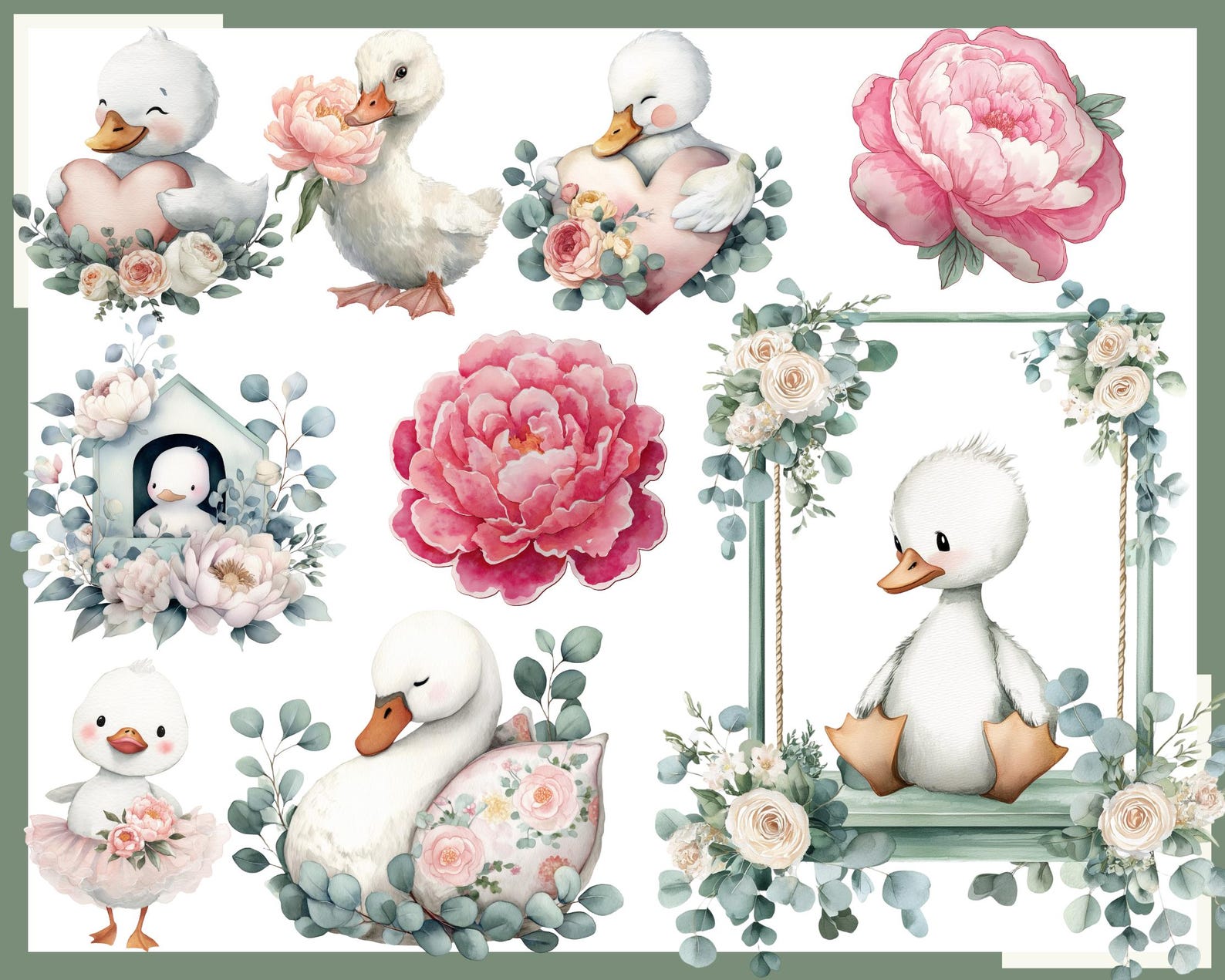 Watercolor Baby Swan Clipart | 110 PNG Images 300 DPI (blush Pink Roses ...